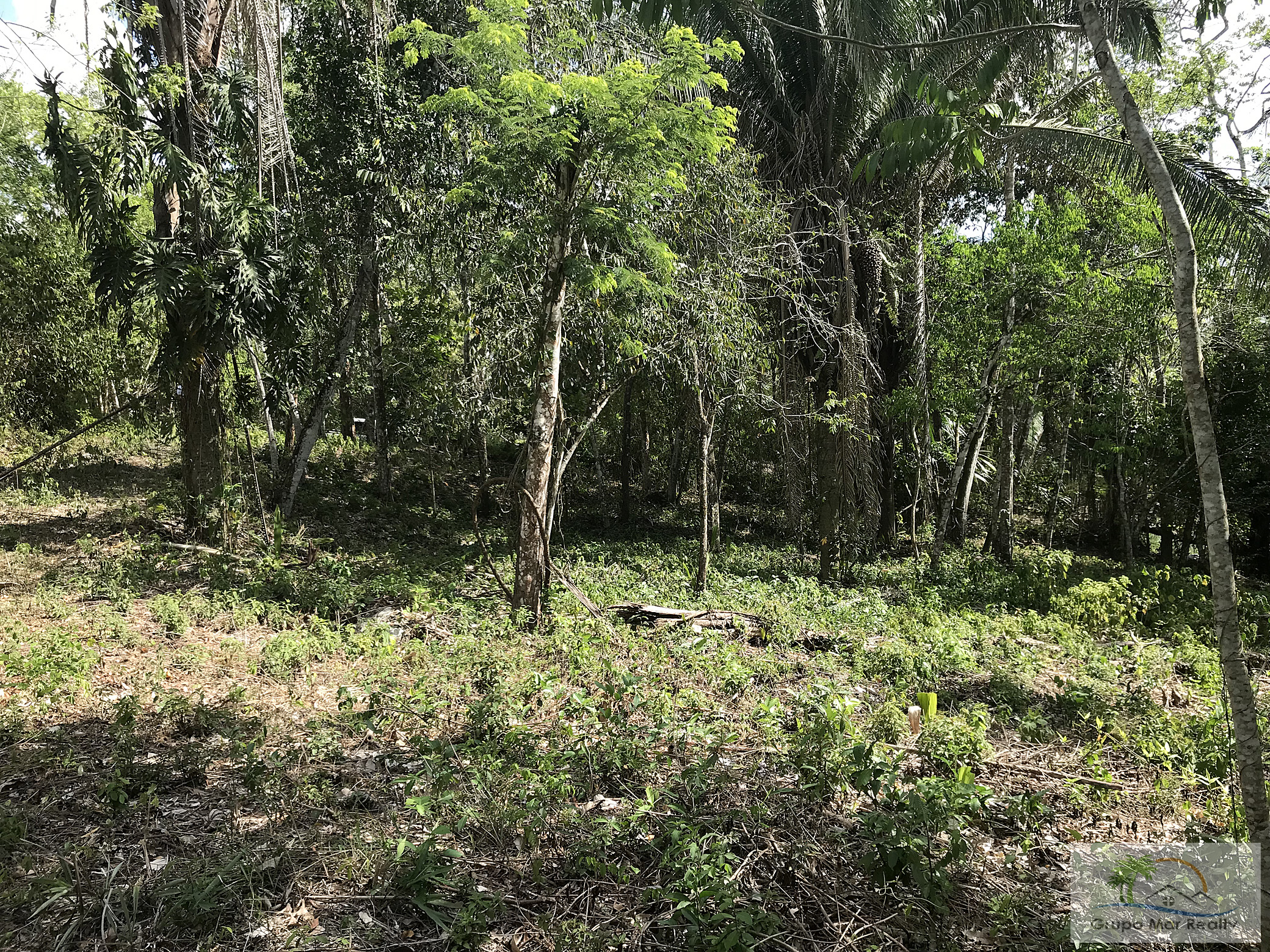 Belize wooded home lots - Grupo Mar Realty - Cayo Belize residential lots