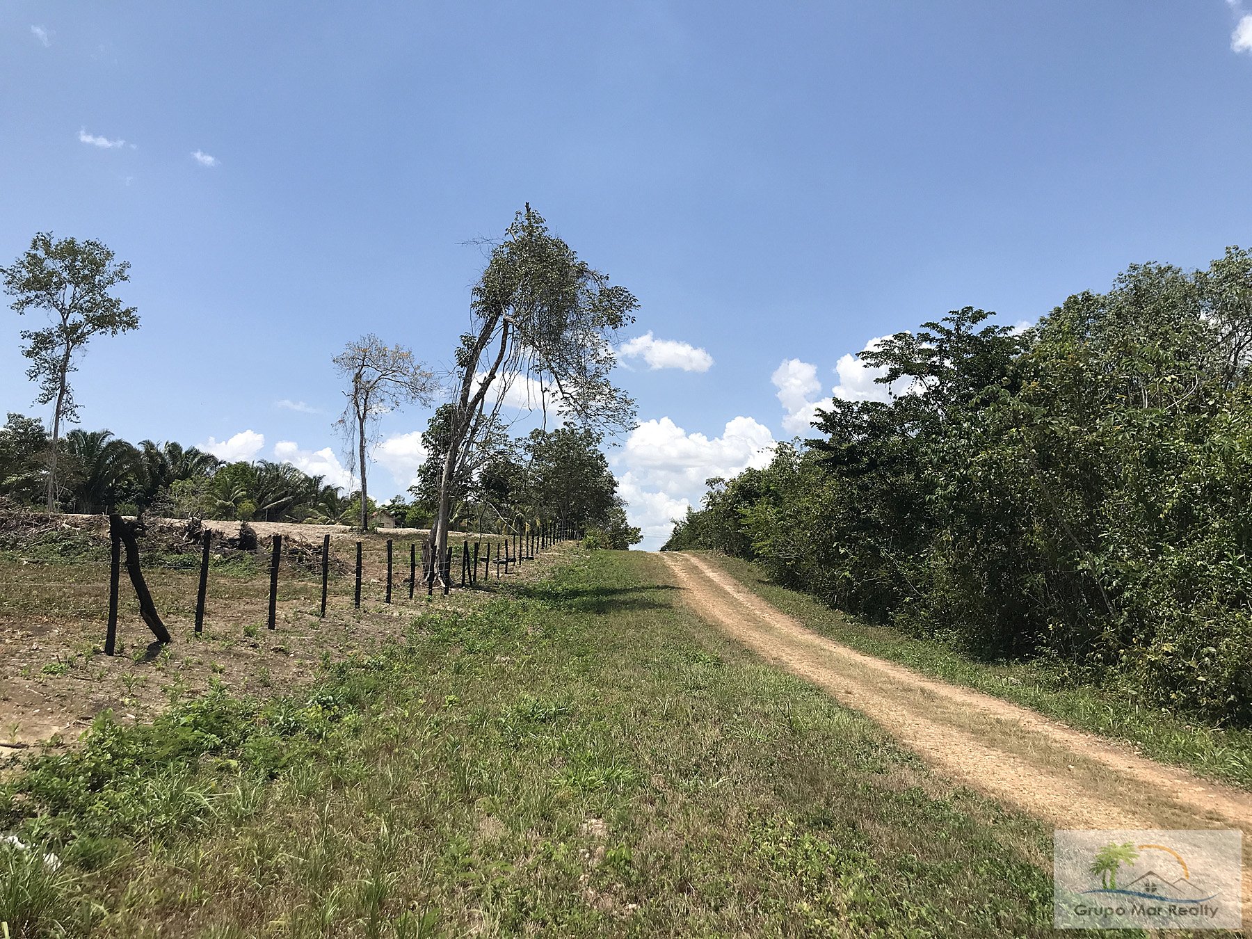 Acreage Lots For Sale Unitedville - Grupo Mar Realty