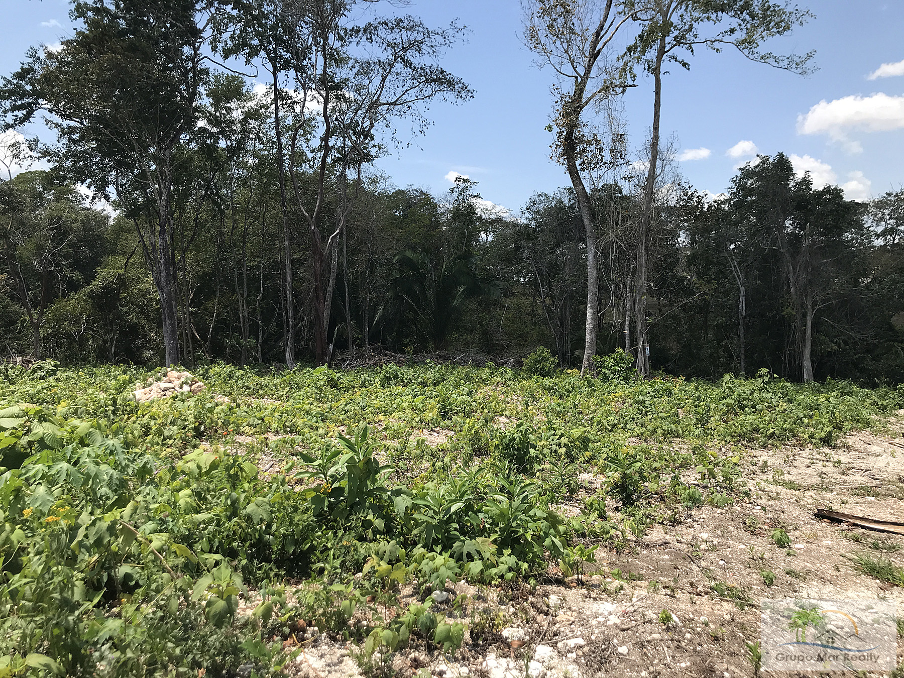 Acreage Lots For Sale Unitedville - Grupo Mar Realty