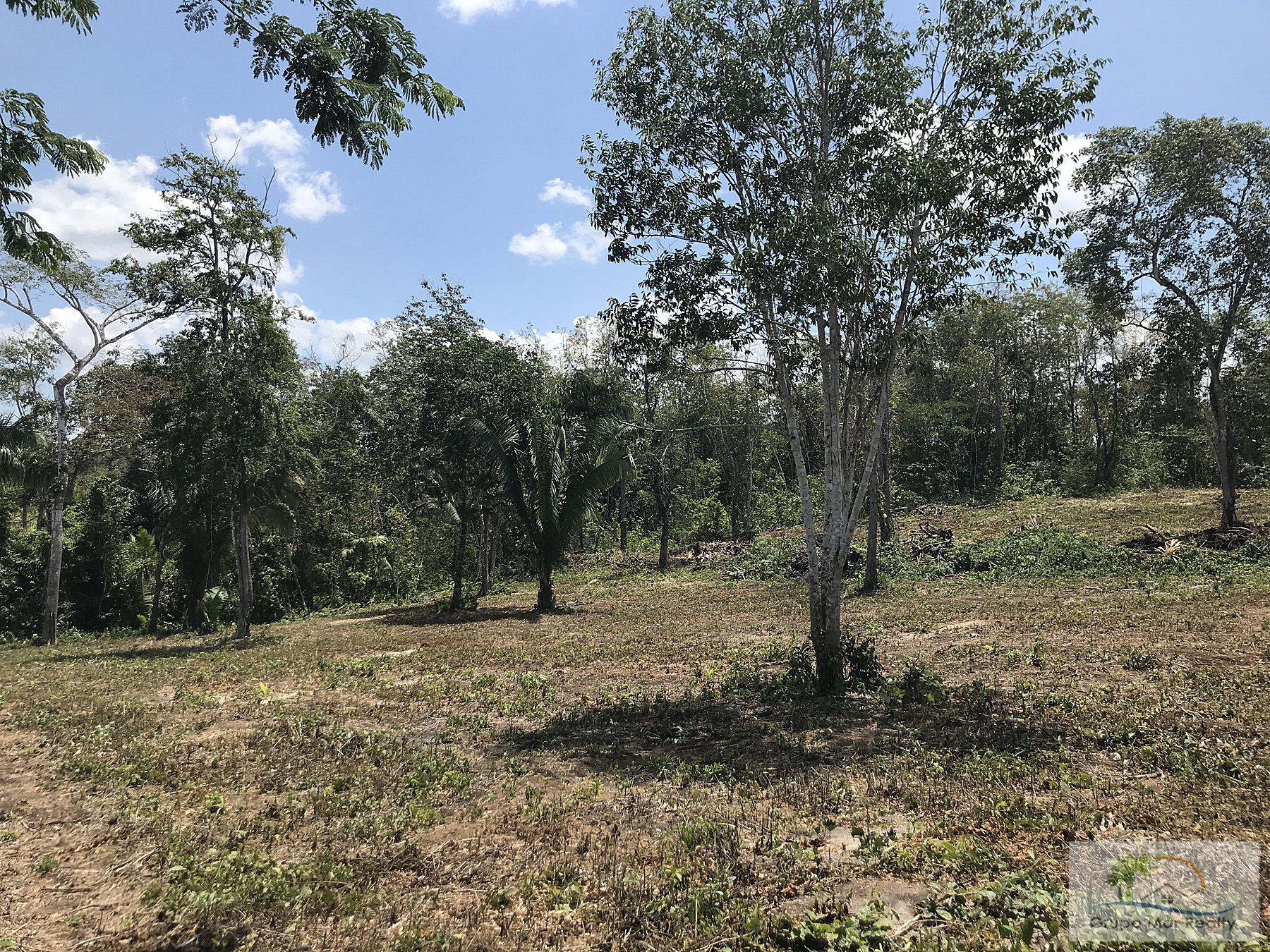 Acreage Lots For Sale Unitedville - Grupo Mar Realty